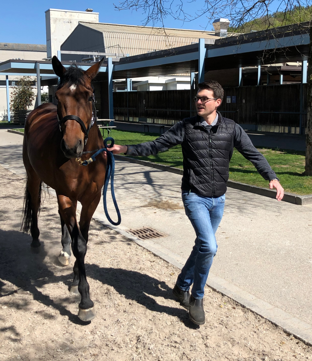 Lameness Locator | Universitäres Tierspital Zürich