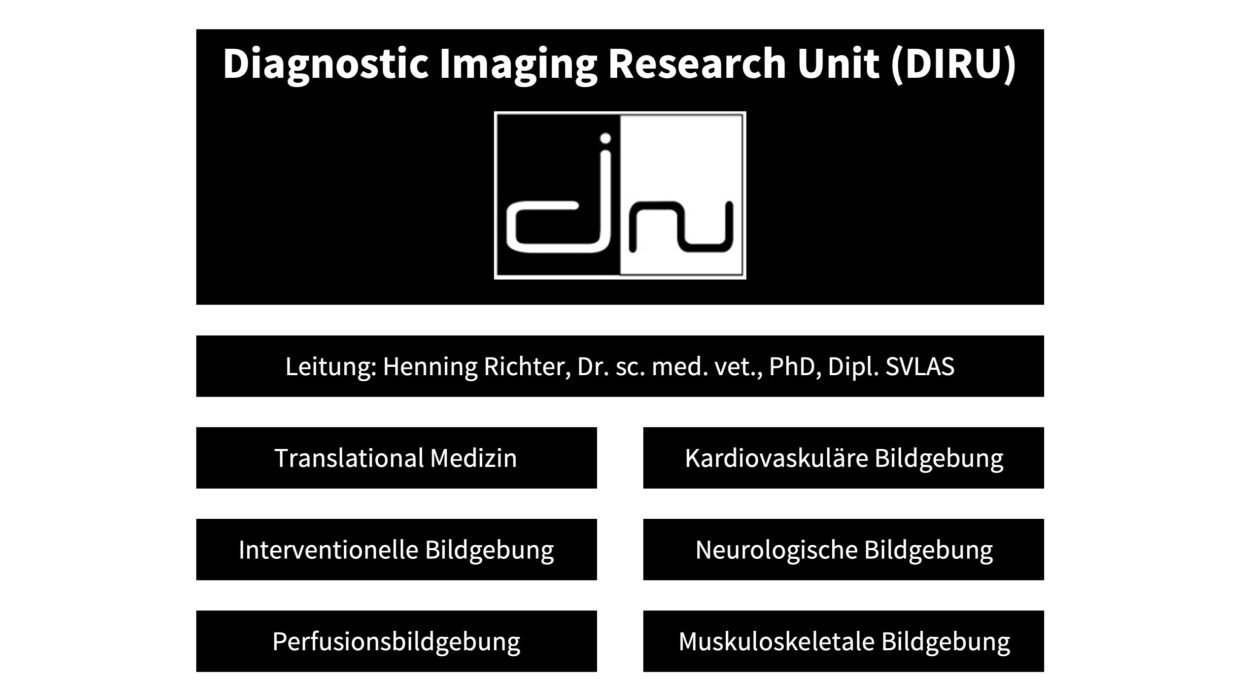 Diagnostic Imaging Research Unit (DIRU) | Universitäres Tierspital Zürich